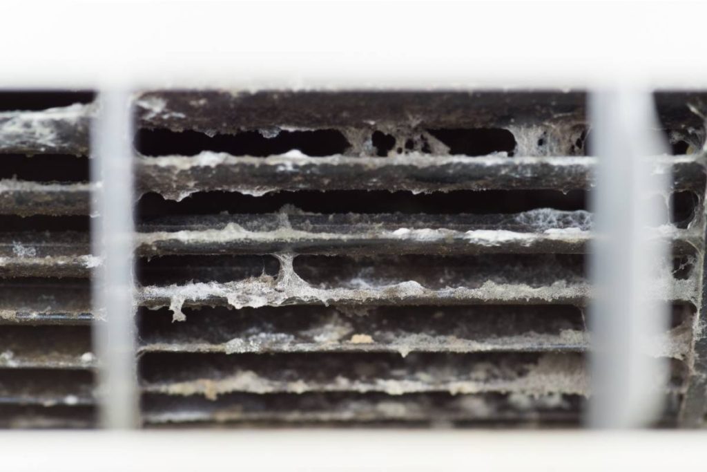 Common Signs of Black Mold in Air Vents - Homewares Insider