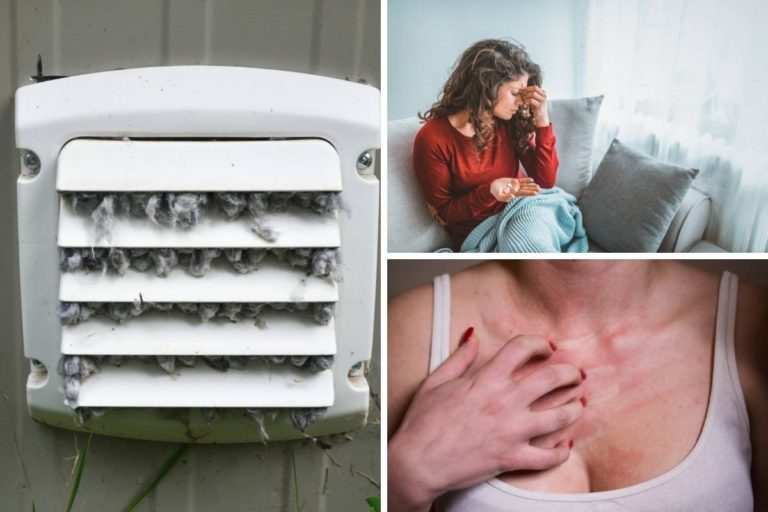 Common Signs of Black Mold in Air Vents - Homewares Insider