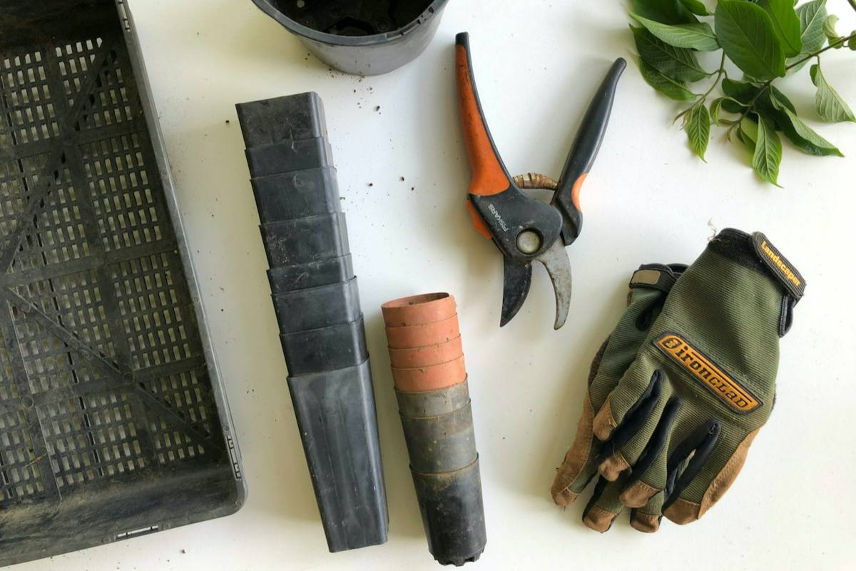 How To Find The Right Tools For Your Landscaping Project: A Guide ...