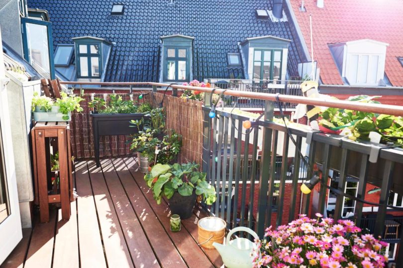 Terrace Vs Balcony: The 5 Key Differences - Homewares Insider